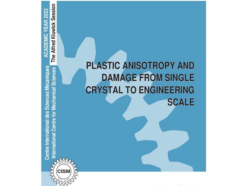 NSM - Nonlinear Solid Mechanics Group