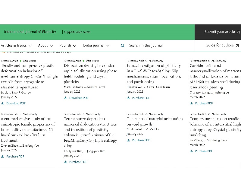 NSM - Nonlinear Solid Mechanics Group